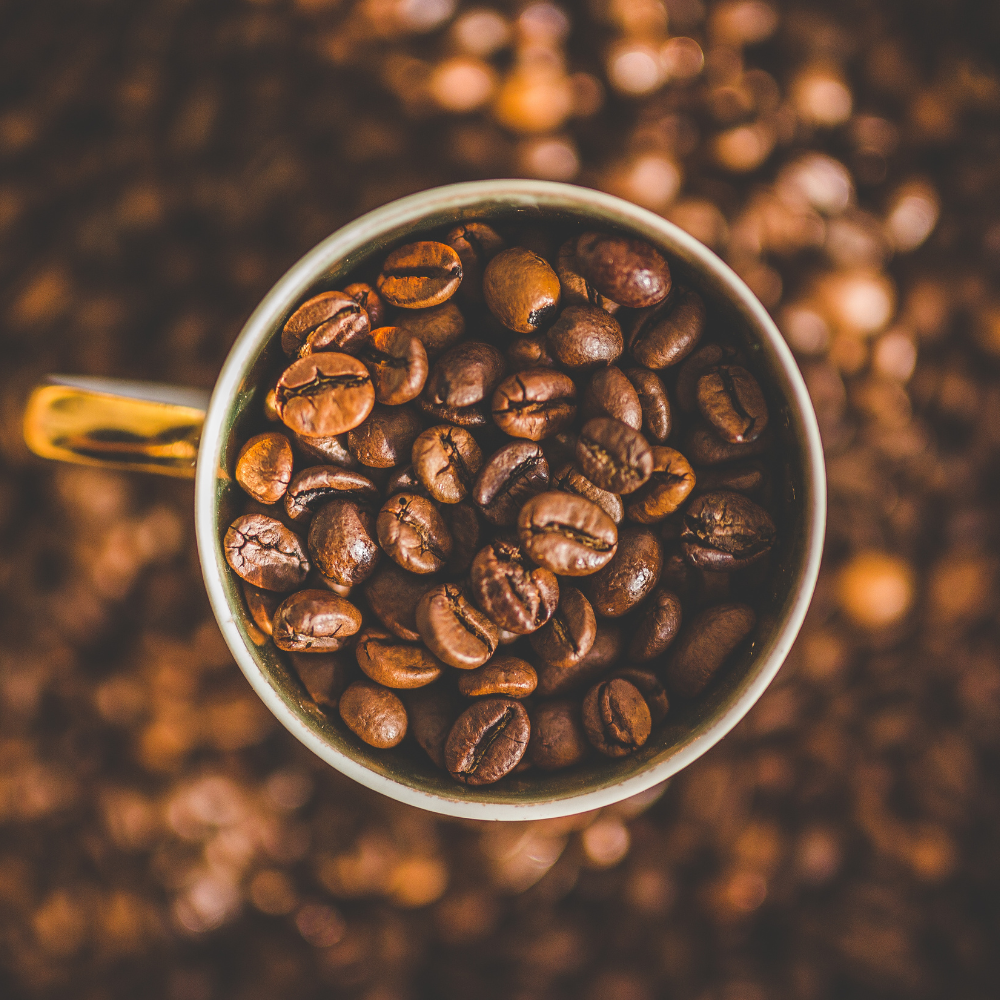 Espresso Furore Dein Onlineshop Für Kaffee Und Zubehör Espresso Furore